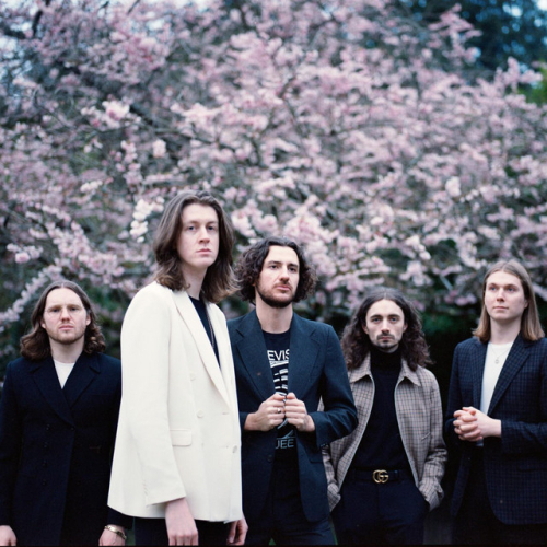 Blossoms Vinyl Records For Sale | Roan Records