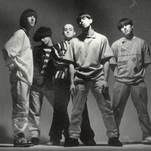 Inspiral Carpets Vinyl Records For Sale | Roan Records