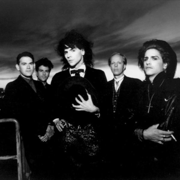 Wall of Voodoo Vinyl Records For Sale | Roan Records